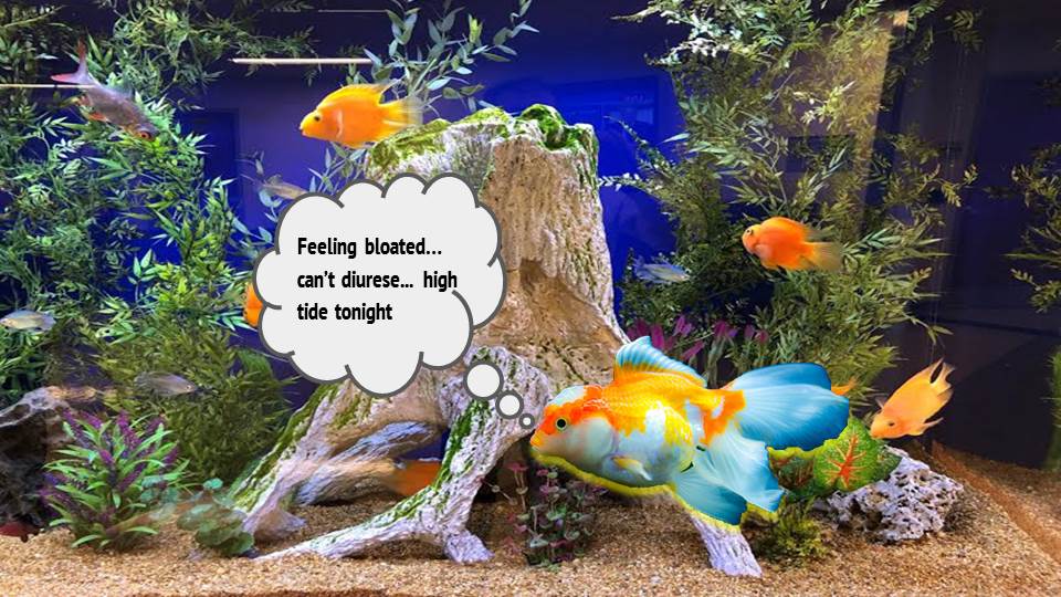 Remembering Dr. James Boudwin