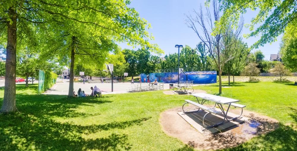 Barbara Bennett, Wingfield and Paradise Parks: Help us help you 🌳