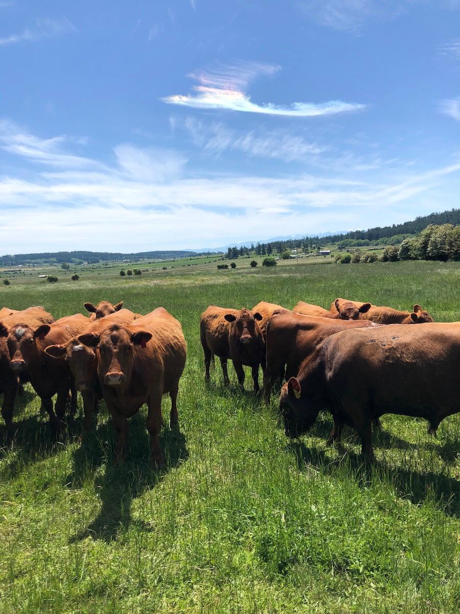 Late-Summer News from the San Juan Preservation Trust