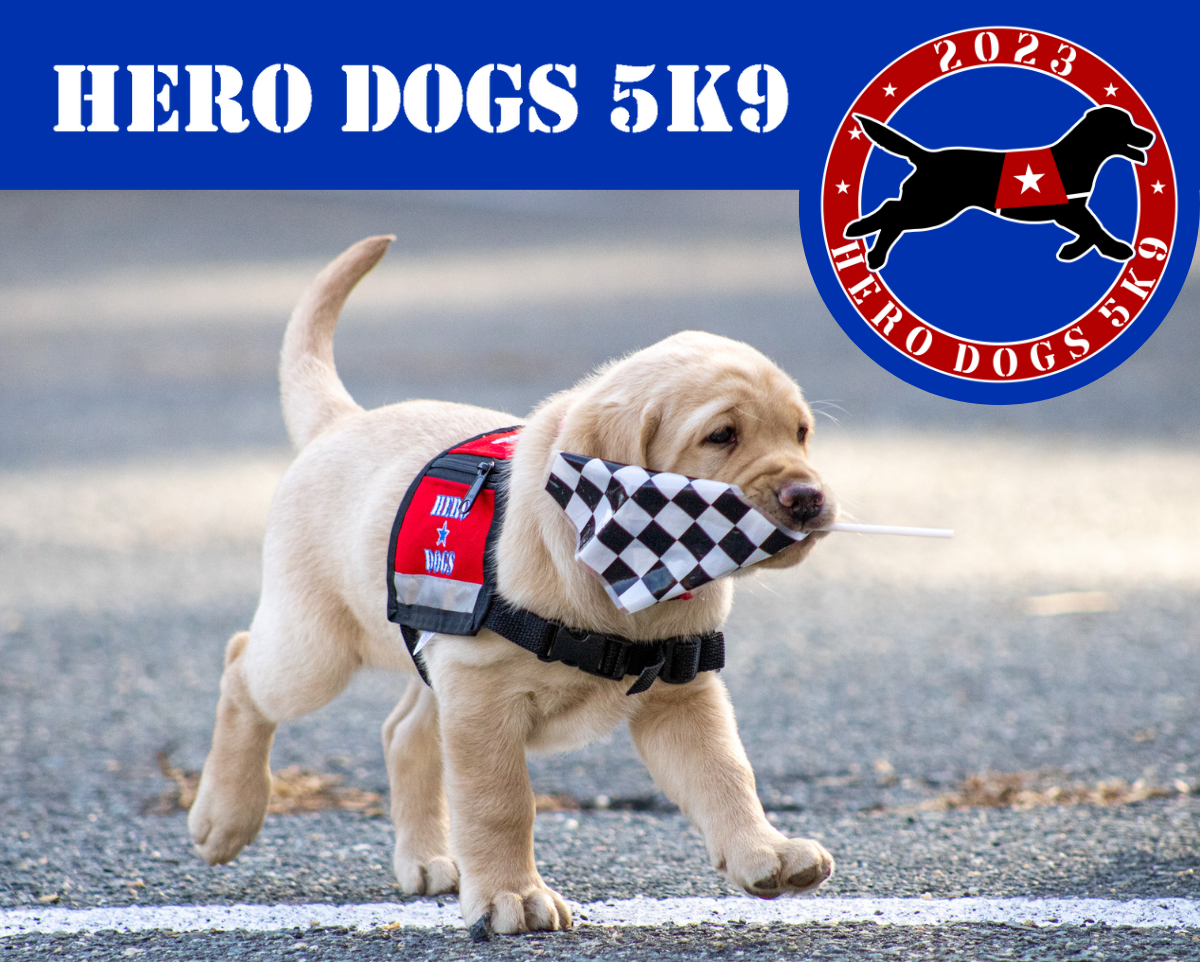 Hero Dogs Merch, Upcoming Events, & More!