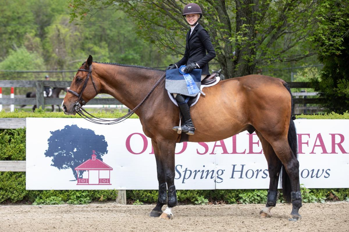 Katherine Dinan Soars to Victory in the Evergate Stables $40,000 1.50m ...