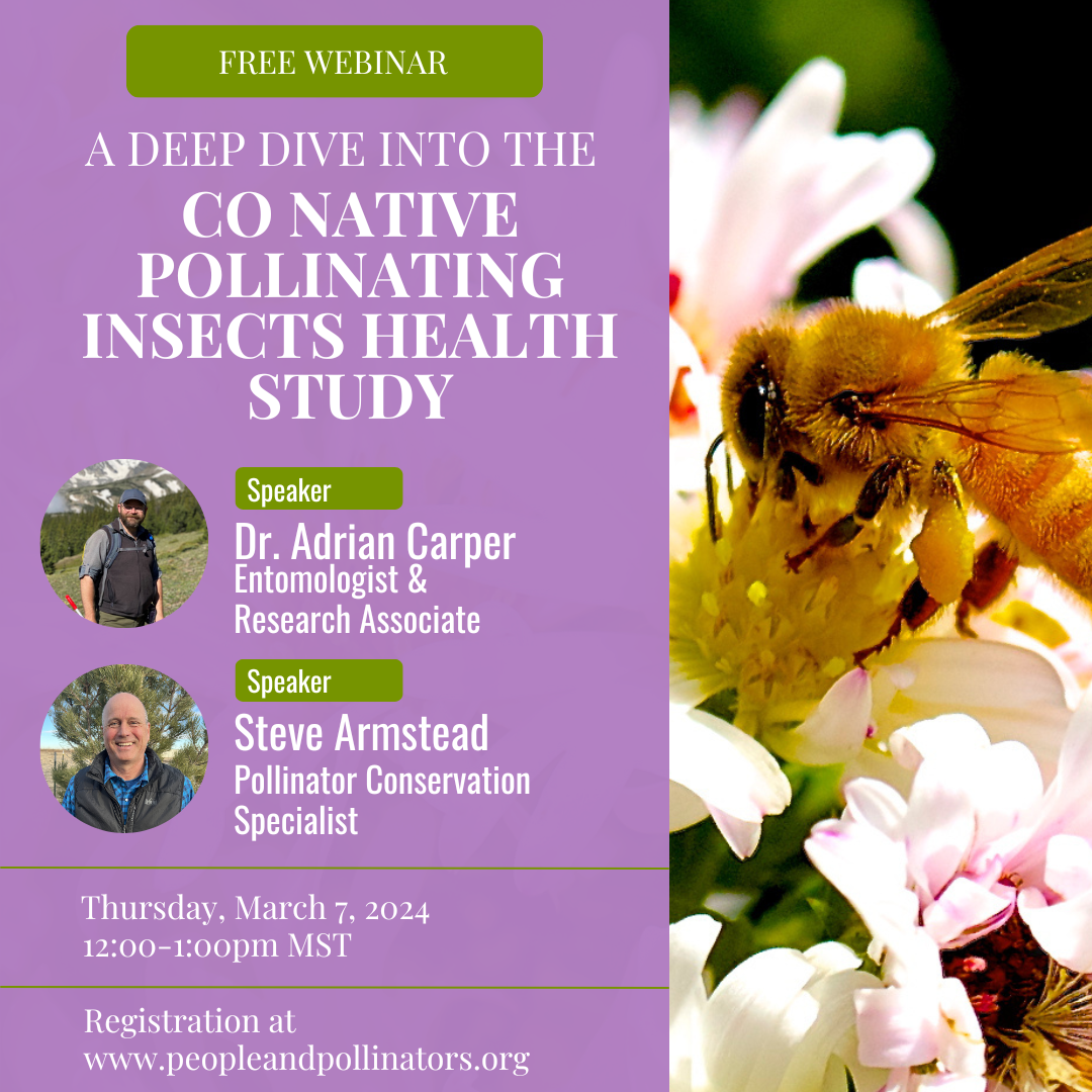 A Deep Dive into the Colorado Native Pollinating Insects Health Study