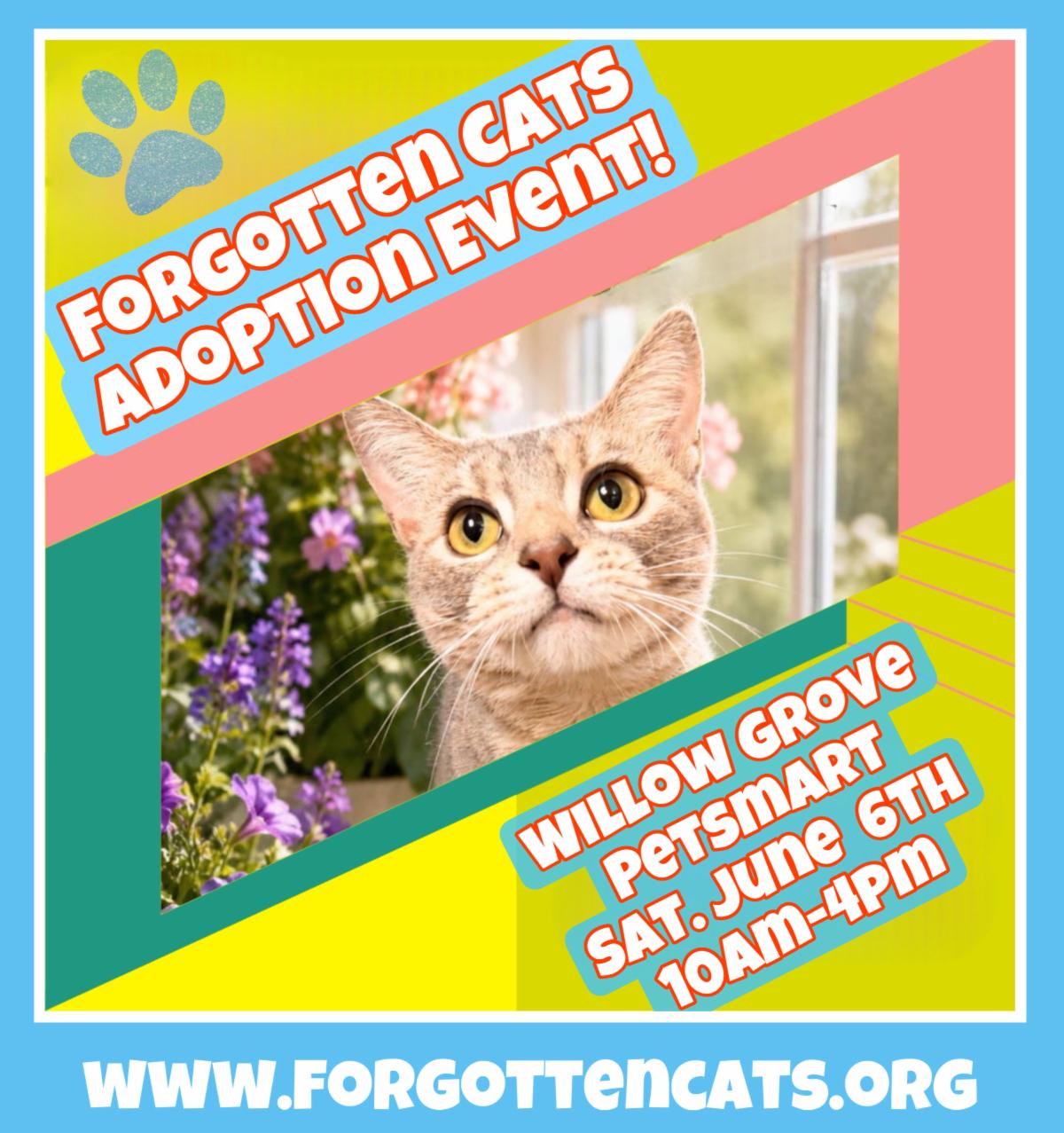 FC Apparel Sale, Adoption Event, Fosters and Barn Homes Needed & More