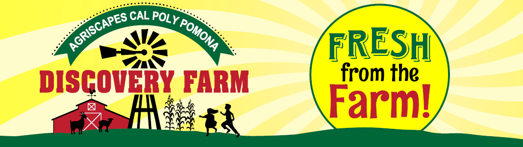 CPP Farm Box + 10 days until Spring Fun on the Farm Festival and Egg Hunt