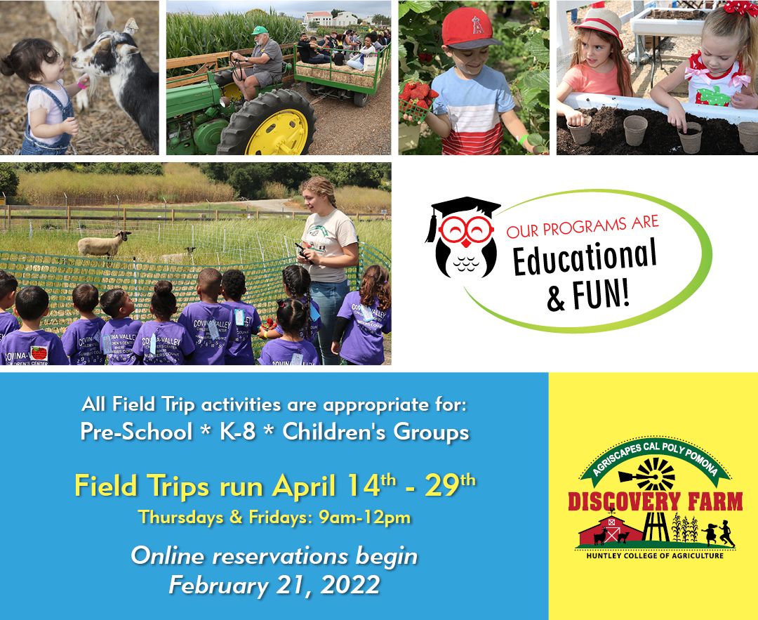 CPP Farm Box + 10 days until Spring Fun on the Farm Festival and Egg Hunt