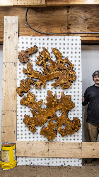 Burls- Distinctive and stunning!