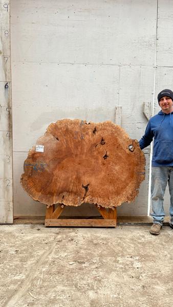 Burls- Distinctive and stunning!
