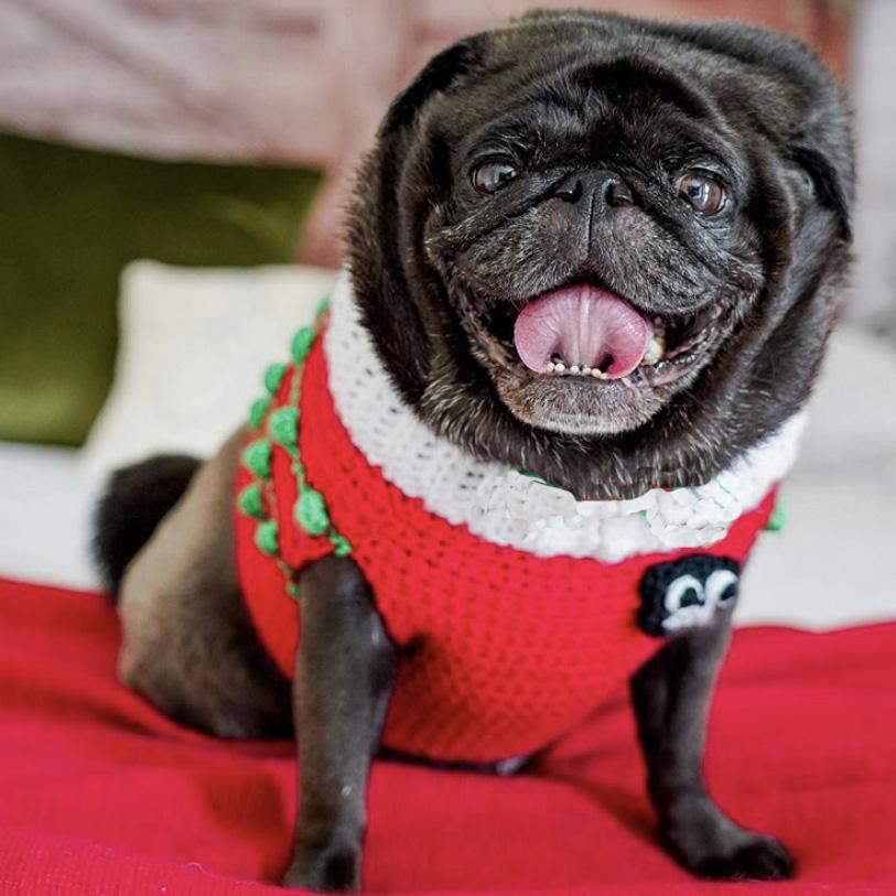Hooray! The Pug Notes Holiday Gift Guide is Here!
