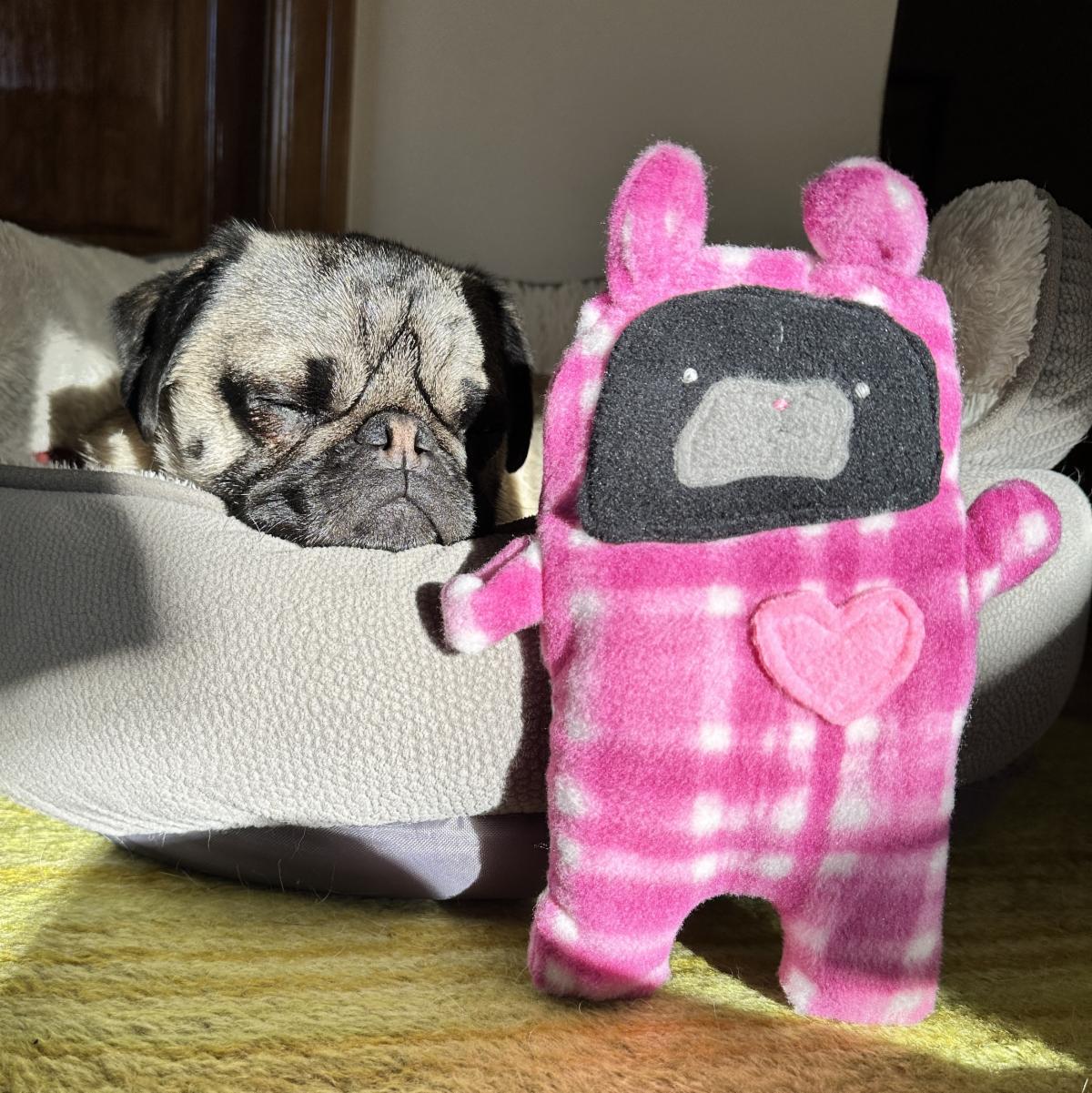 Meet Piff & Puff ~ The NEW Little Pink Nose Pug Bunny Bummlies