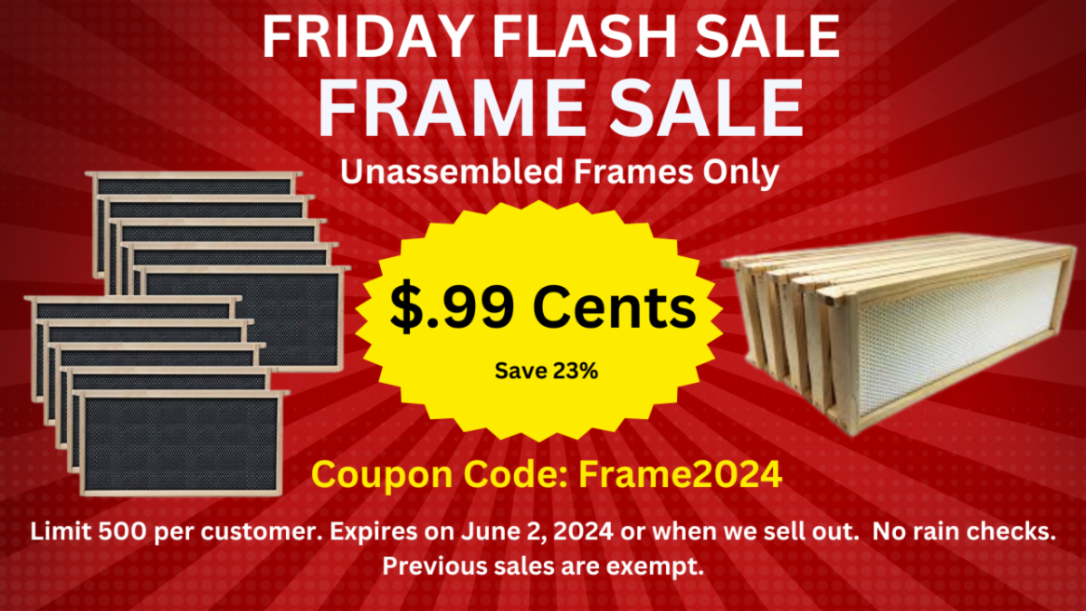 WHOA! Frame Sale Now in Progress - Save BIG