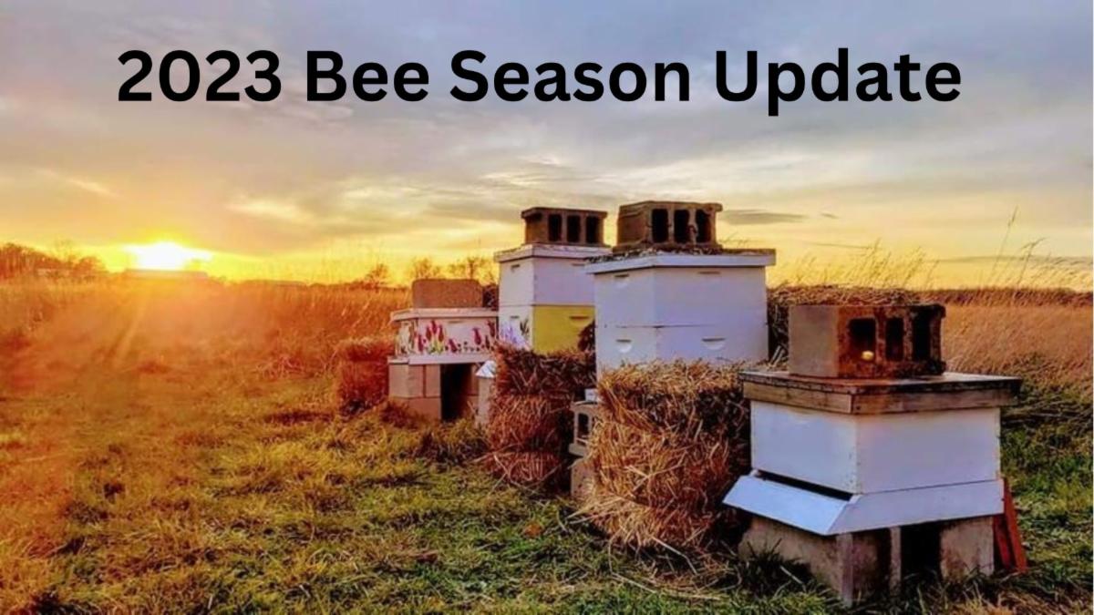 2023 Bee Season Update - Significant Bee Loss in North America
