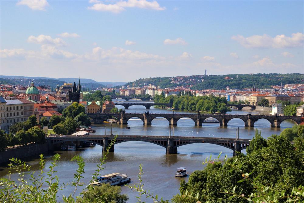 Read a Recap of ICANN80 in the July Newsletter