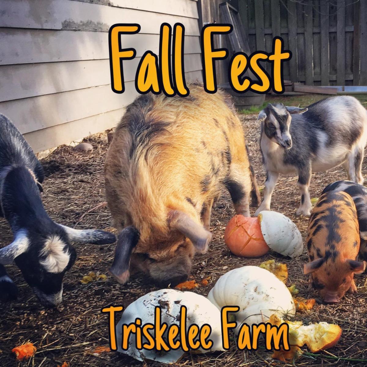 October is harvest season on the Oregon Farm Loop!