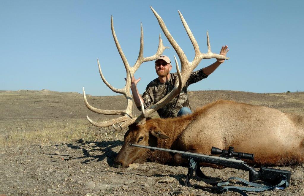 AK Boat-Based Blacktails & Mountain Goats, WY Bull Elk, Namibia Leopard ...