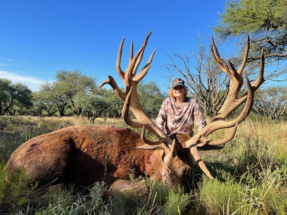 Reminder: Trophy Red Stag, AZ Mtn Lions, NM Bull Elk, WY Antelope, ID ...