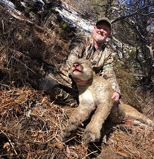 Reminder: Trophy Red Stag, AZ Mtn Lions, NM Bull Elk, WY Antelope, ID ...