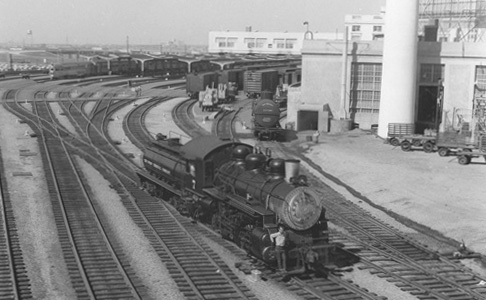 Celebrating 100 Years of the Seven Spot,