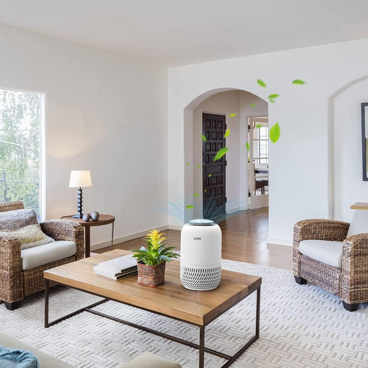 Living Enrichment Air Purifiers fwith True HEPA Filter - Available