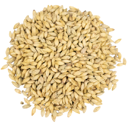 Brew Bright, Brew Light. 🍻