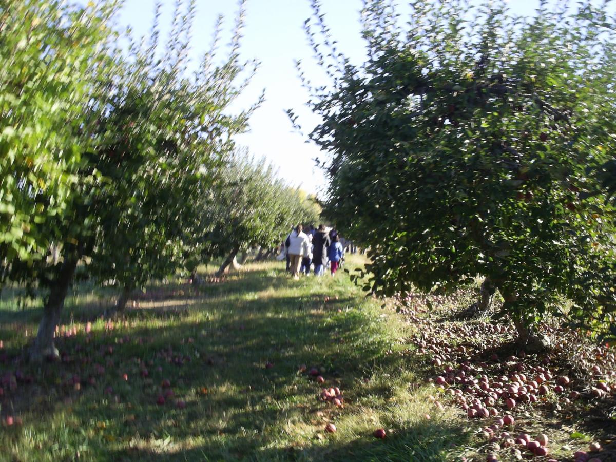 2020 Field Trips at Highland Orchards