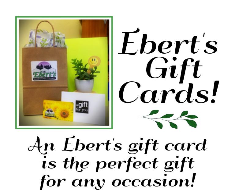 Propagating Plants from Cuttings, Monarch Adventure, Fall Container Workshops and More!