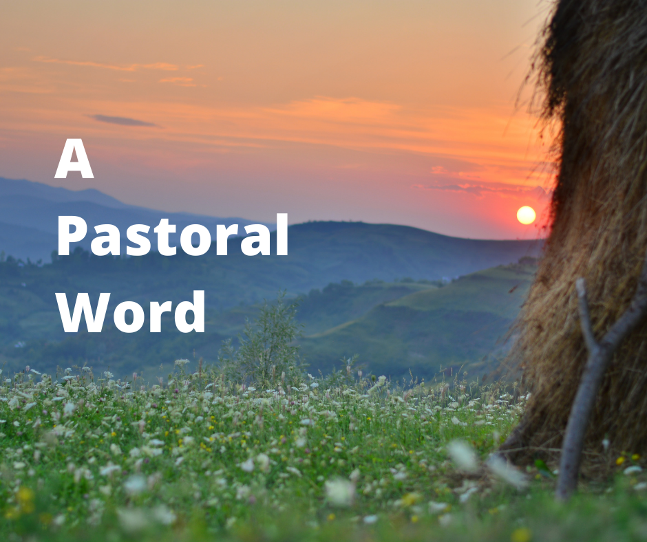 A Pastoral Word – 27 April 2022 | Jeff's Jottings
