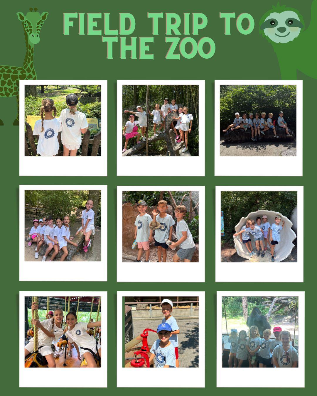 GCC Gator Summer Camp 2025 - Week 5