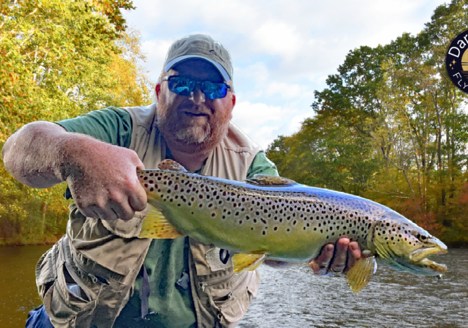 Advanced Nymphing Strategies