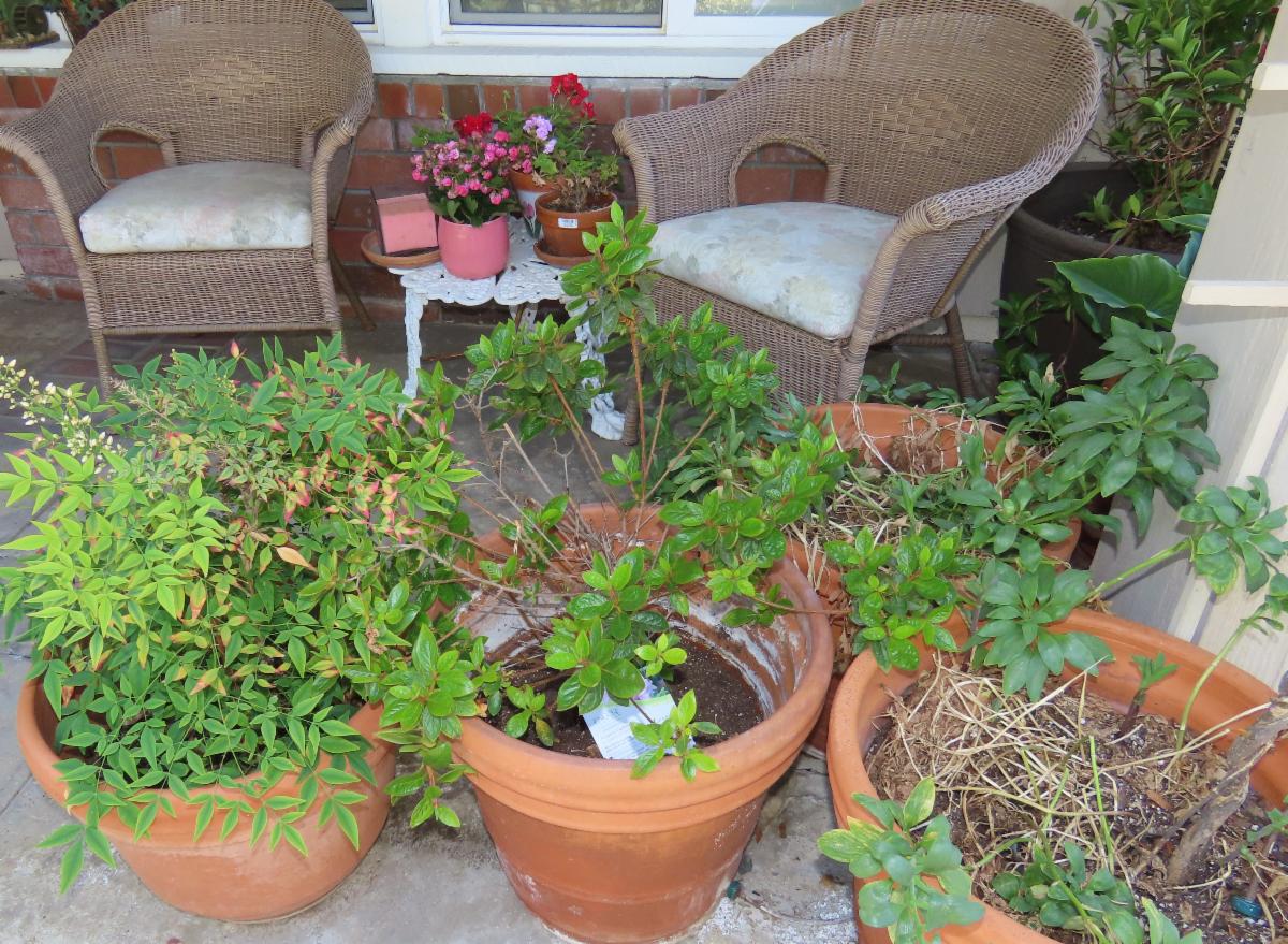 Estate Sale By Nikki. 2019 Toyota Prius. Traditional furniture ...