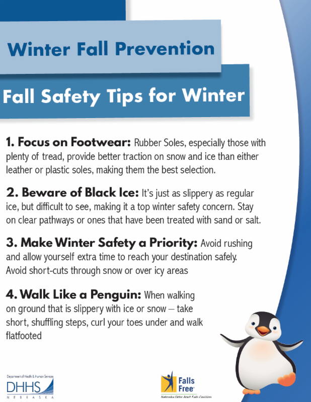 NE DHHS Injury Prevention and Control Program January E-Newsletter