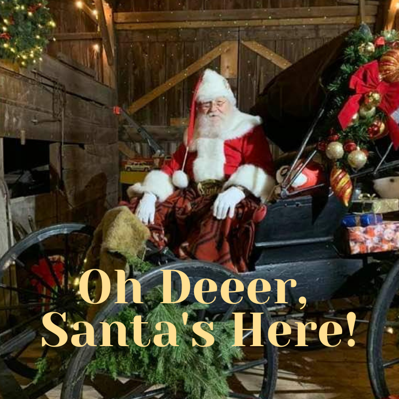 Coffee & Stroll and Celebrate Thanksgiving with Nature