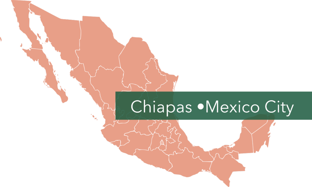 Study in Solidarity with Mexican Social Movements