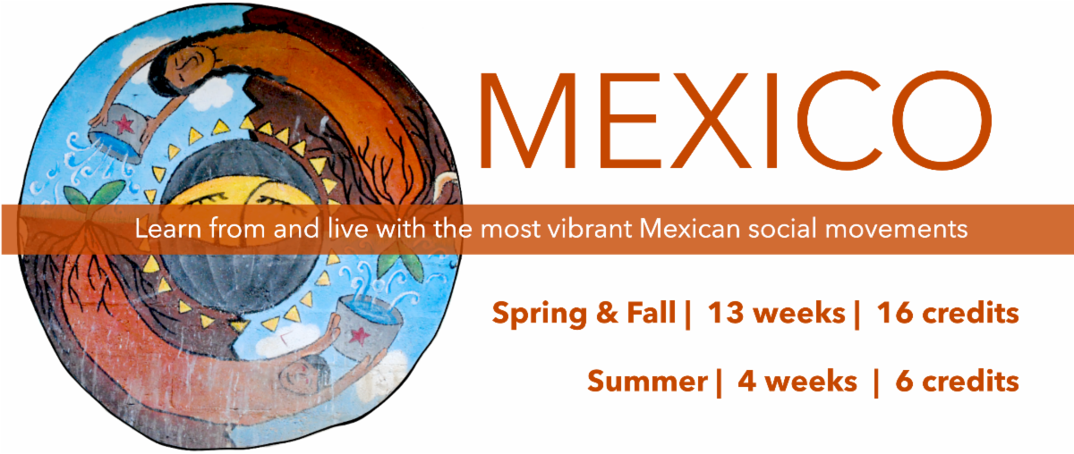 Study in Solidarity with Mexican Social Movements