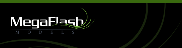 MegaFlash Models Requests your W9 and Payment Process Next Steps