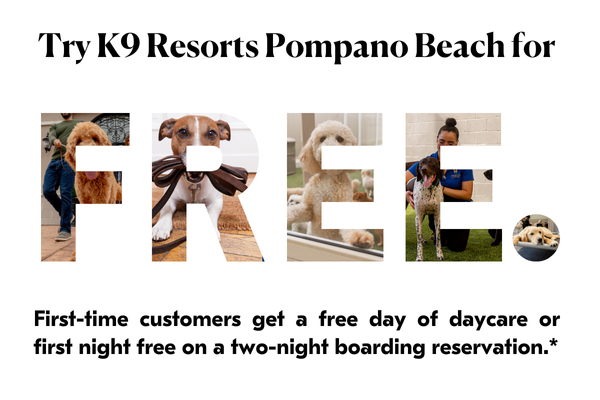 Try our brand of dog luxury for free.