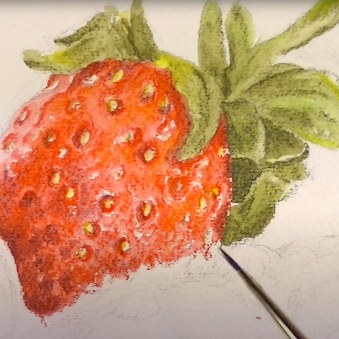 Drawn To Perfection With Derwent Inktense!