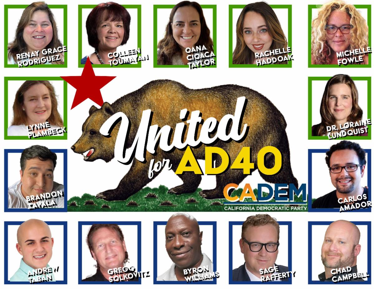 California ADEM Delegate Candidates: Update Announcements of Candidates #9