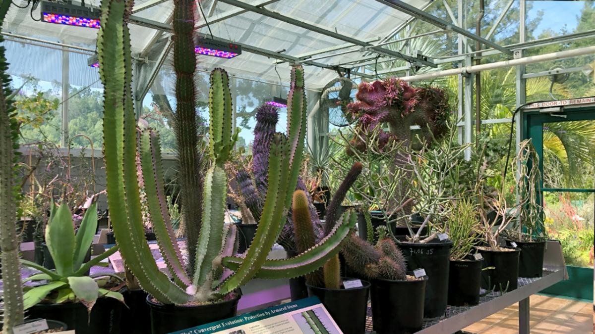 Discover the Garden's Arid House!