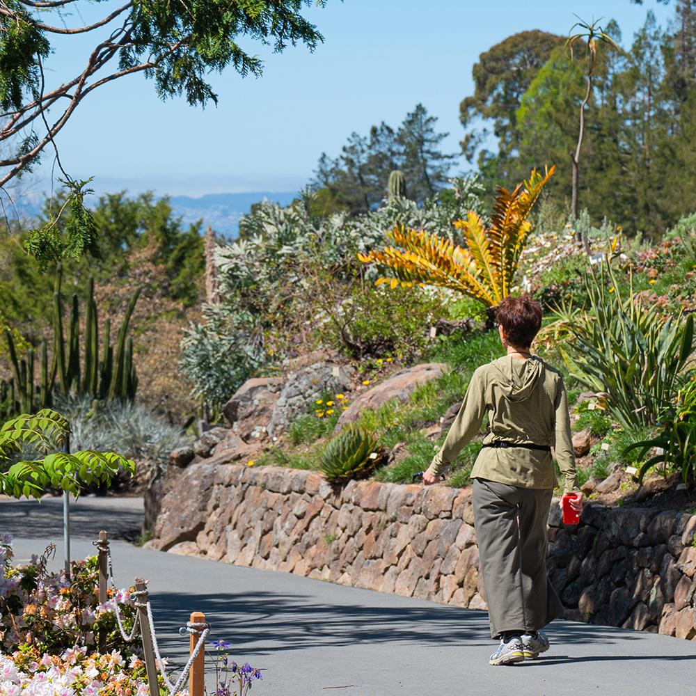 Discover the Garden's Arid House!
