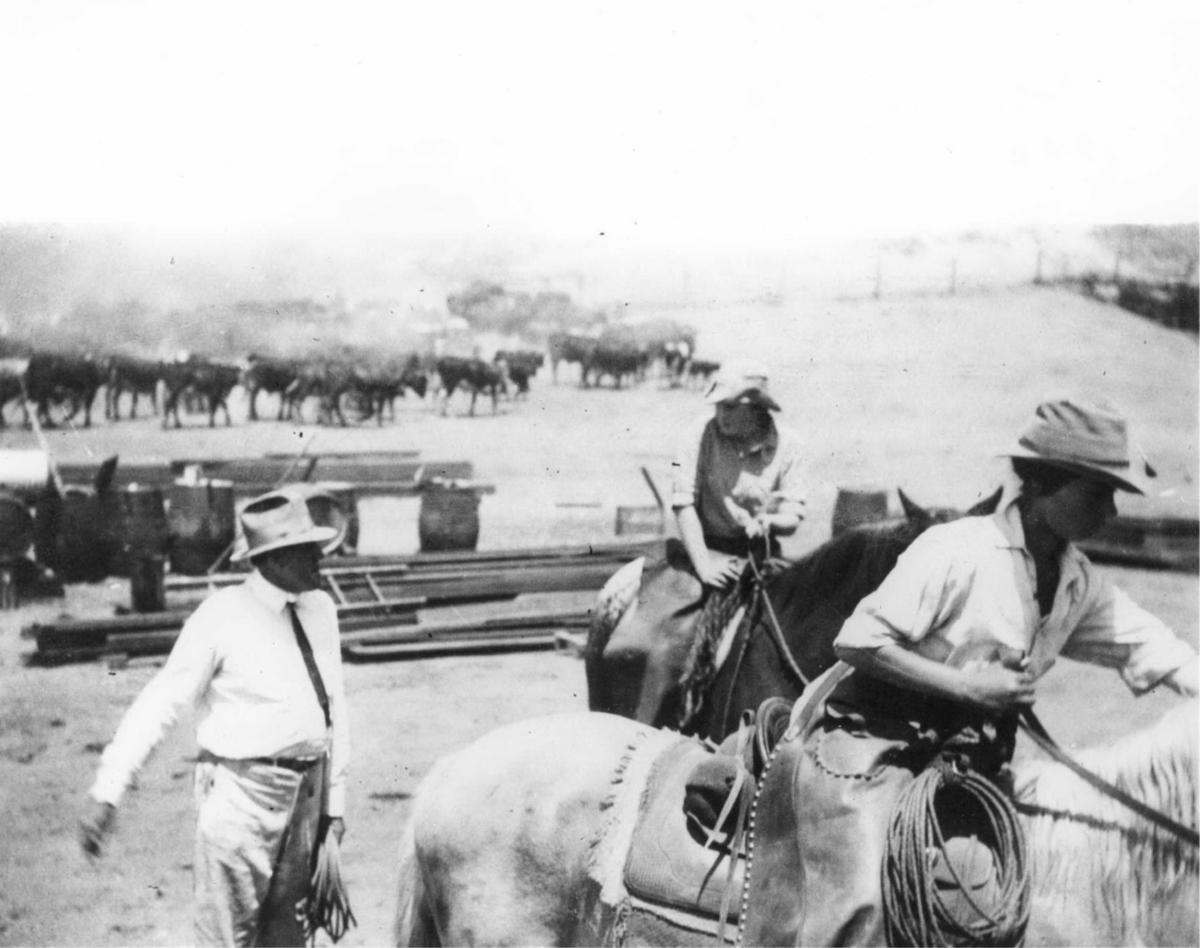 Email from Rancho Los Alamitos