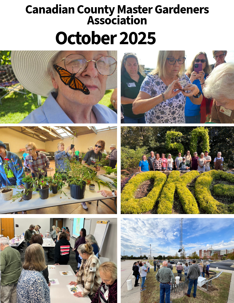 WINTER Horticulture News