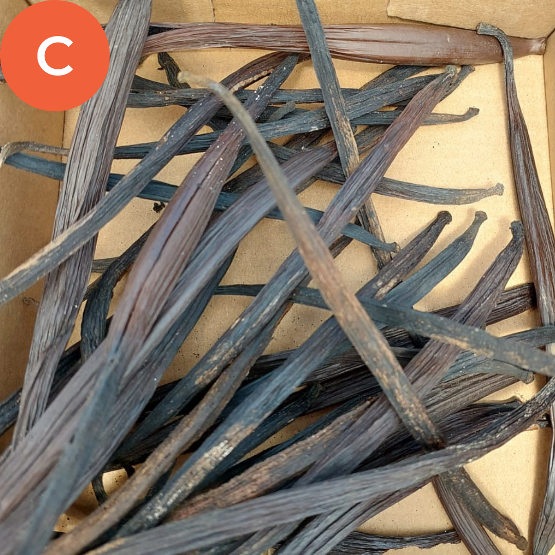 VisionSpring InFocus 12.6.23