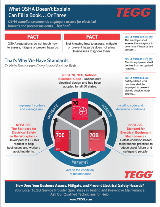 New TEGG Flyer: What OSHA Doesn't Explain...