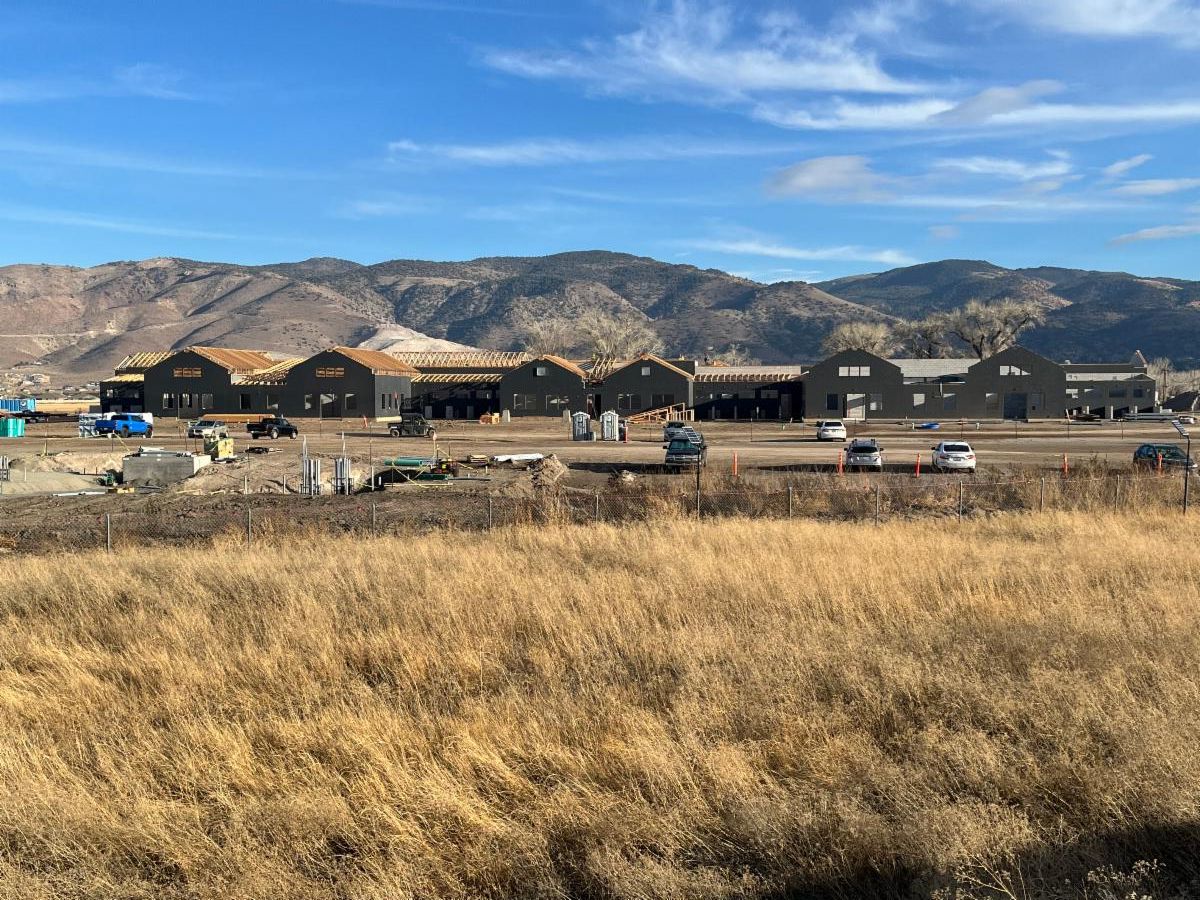 🇺🇸 Liberty Dogs Celebrates a Year of Progress 🇺🇸