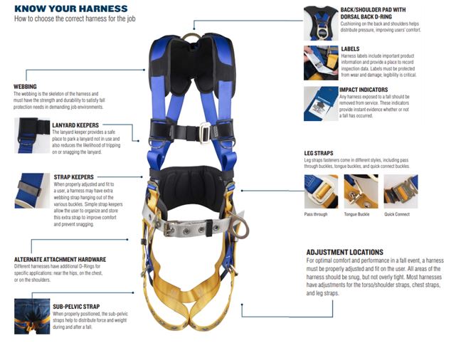 MSS Connect 10/28/2022