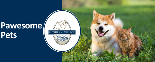 Showcase Your Pawesome Pet! 🐶🐱