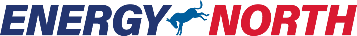 The Future of Energy North: Our New Logo