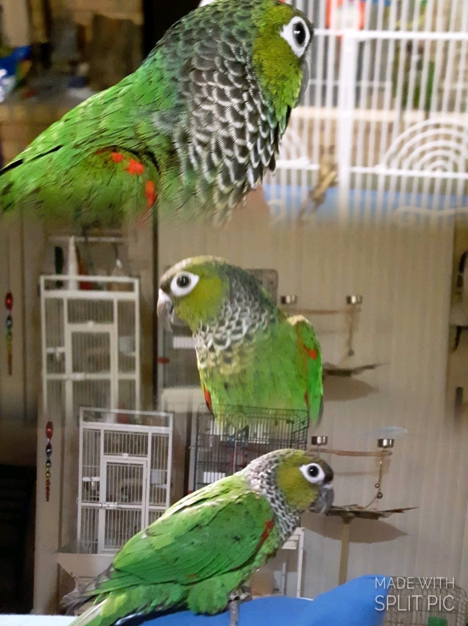 Imam Husain Islamic Center