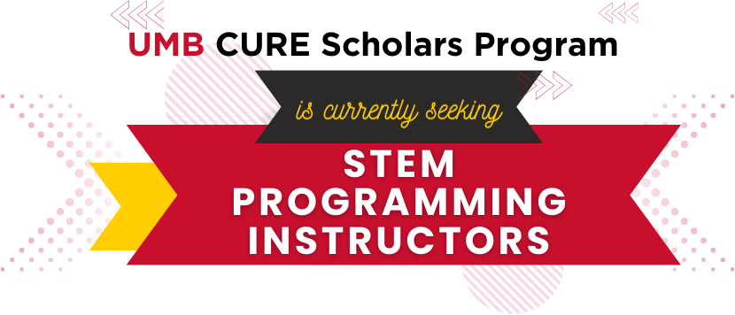 UMB CURE Scholars Program STEM Programming Instructor