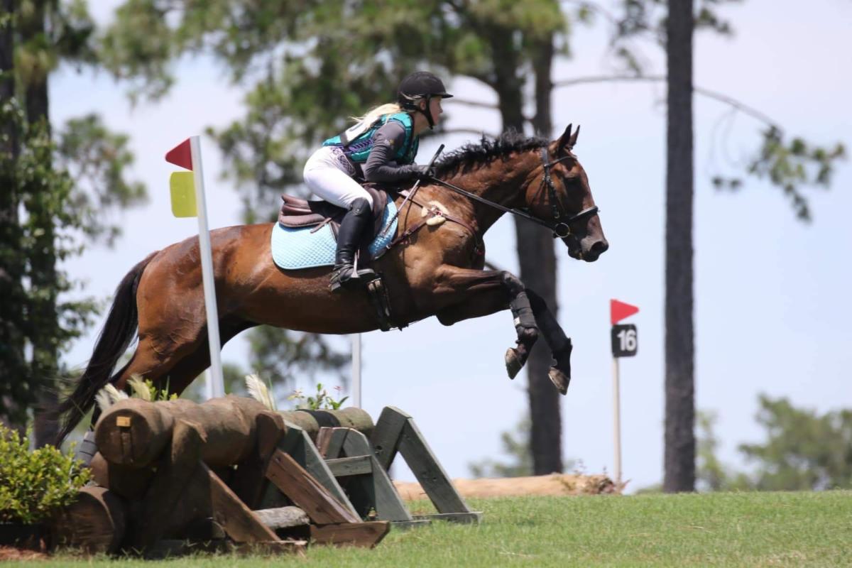 A Perfect Day of Racing at Parx